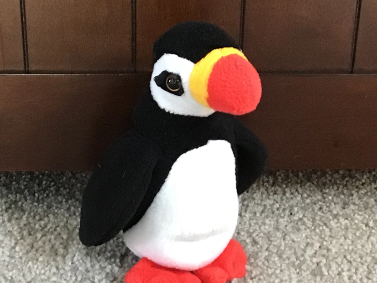 Puffin (Original) | Shadow World Wiki | Fandom