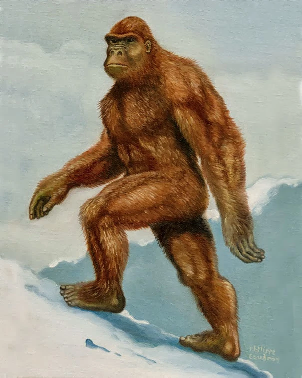 Category:Species | Shadow Moon Wiki | Fandom