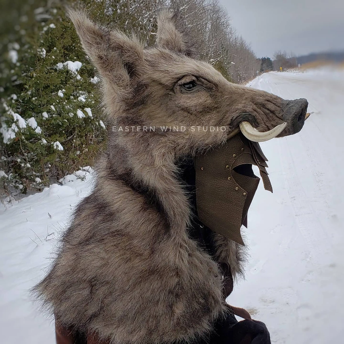 Boar Beast Masters | Shadow Stalkers Wiki | Fandom