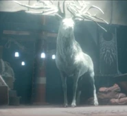 Morozova's stag (Netflix) | The Grishaverse | Fandom