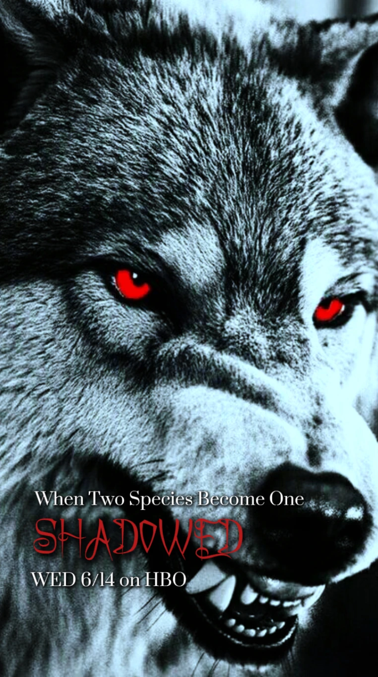 Season Four | Shadowed Wiki | Fandom