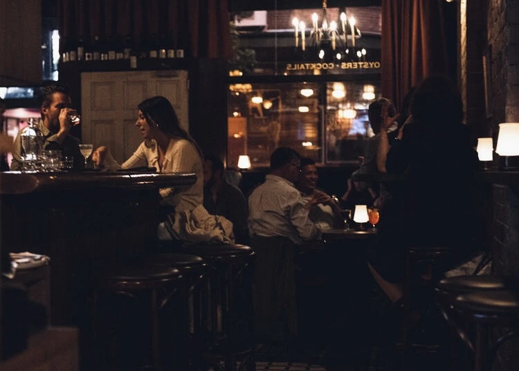 Human | Shadowed Wiki | Fandom