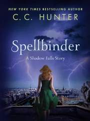 Shadow Falls (series) | Shadow Falls Wiki | Fandom