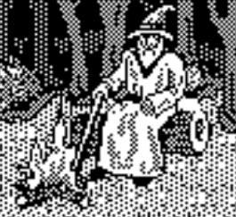 Magician | Shadowgate Wiki | Fandom