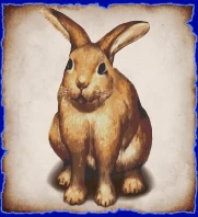 Hare | Shadowhearts Wiki | Fandom