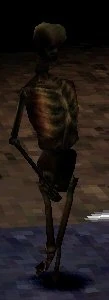 Skeleton | Shadowhearts Wiki | Fandom