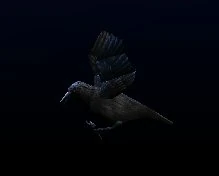 Raven | Shadowhearts Wiki | Fandom