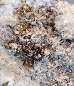 Electrum | Wiki Shadowhunters en Español | Fandom