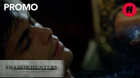 Parabatai/Vidéo | Wiki Shadowhunters TV | Fandom