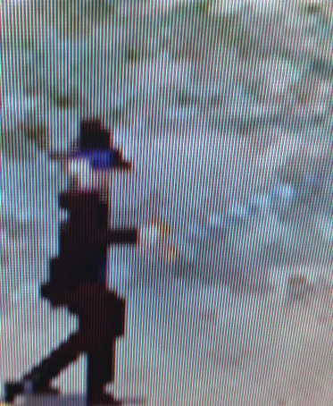 Bandit | ShadowMadness Wikia | Fandom