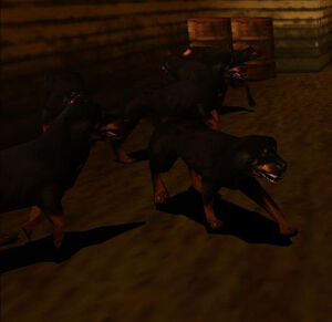 Dogs | Shadowman Wiki | Fandom