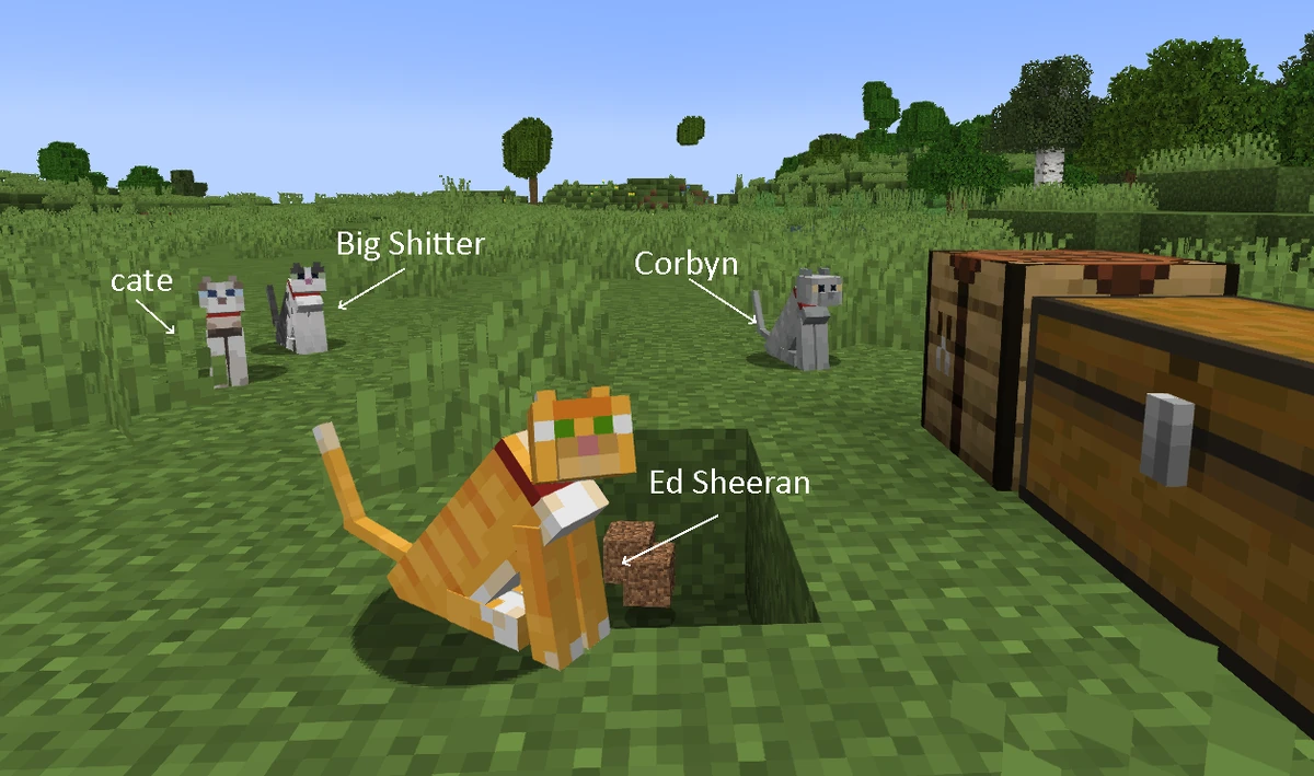 SadScotsman's Cats | ShadowMare Minecraft SMP Wiki | Fandom