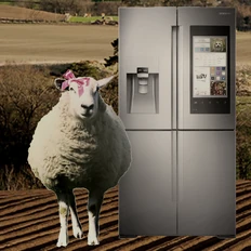 SadScotsman | ShadowMare Minecraft SMP Wiki | Fandom