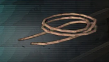 Firm Rope | Shadow of Memories Wiki | Fandom