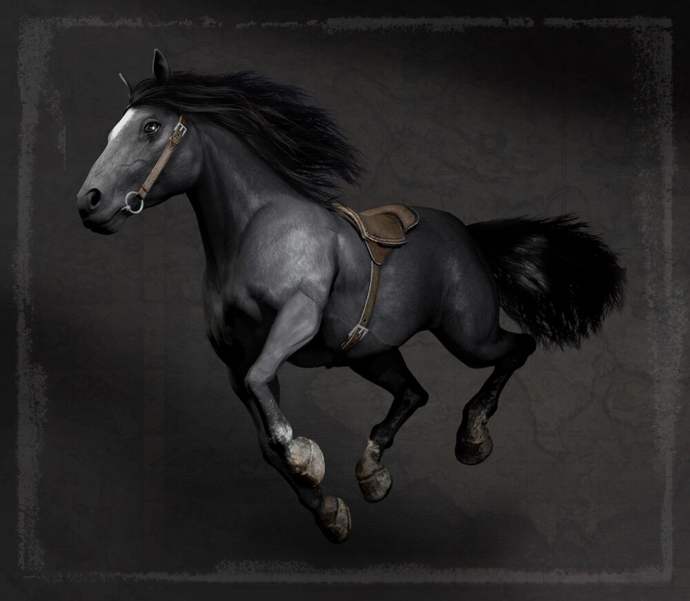 Agro | Wiki Shadow of the Colossus | Fandom