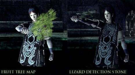 Time Attack | Wiki Shadow of the Colossus | Fandom