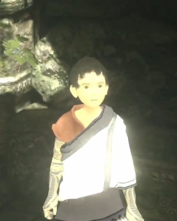 El chico | Team Ico Wiki | Fandom