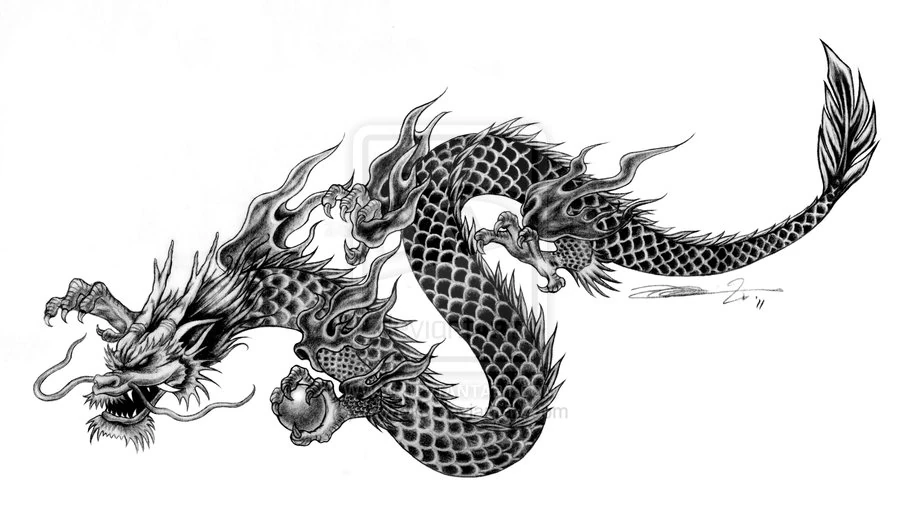 Sixty-Six Dragons | Shadowrun Wiki | Fandom
