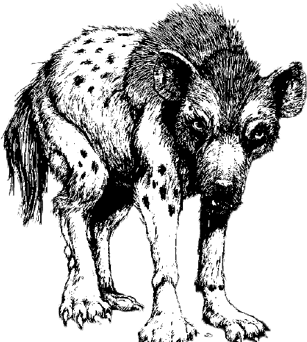 Aardwolf | Shadowrun Wiki | Fandom