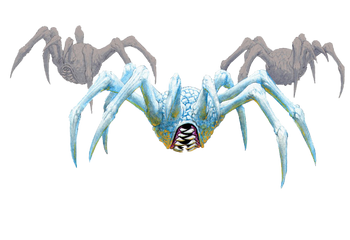 Void Spiders | Shadows of Brimstone Wiki | Fandom