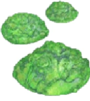 Acid Blobs | Shadows of Brimstone Wiki | Fandom