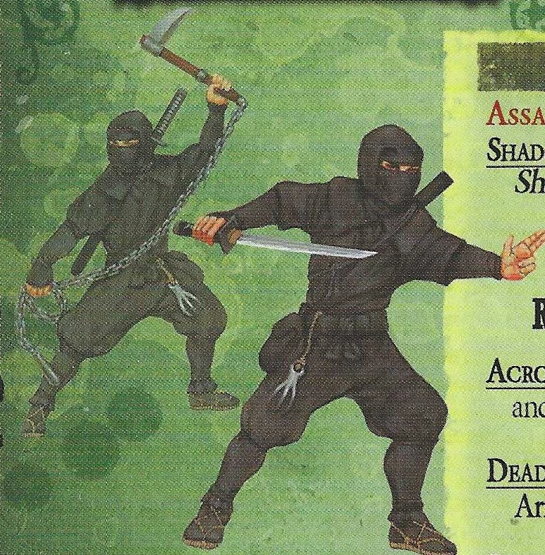 Clan Ninjas | Shadows of Brimstone Wiki | Fandom