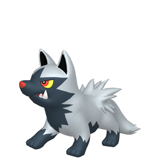 Zachary Ketchum | Shadow's Pokémon Wikia | Fandom