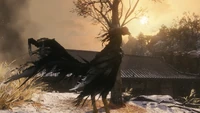 Rooster | Sekiro: Shadows Die Twice Wiki | Fandom
