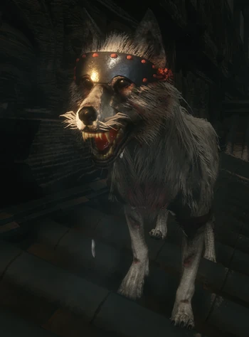 Dog | Sekiro: Shadows Die Twice Wiki | Fandom