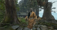 Senpou Monk | Sekiro: Shadows Die Twice Wiki | Fandom