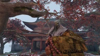 True Monk | Sekiro: Shadows Die Twice Wiki | Fandom