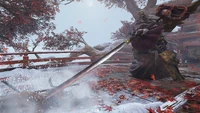 True Monk | Sekiro: Shadows Die Twice Wiki | Fandom