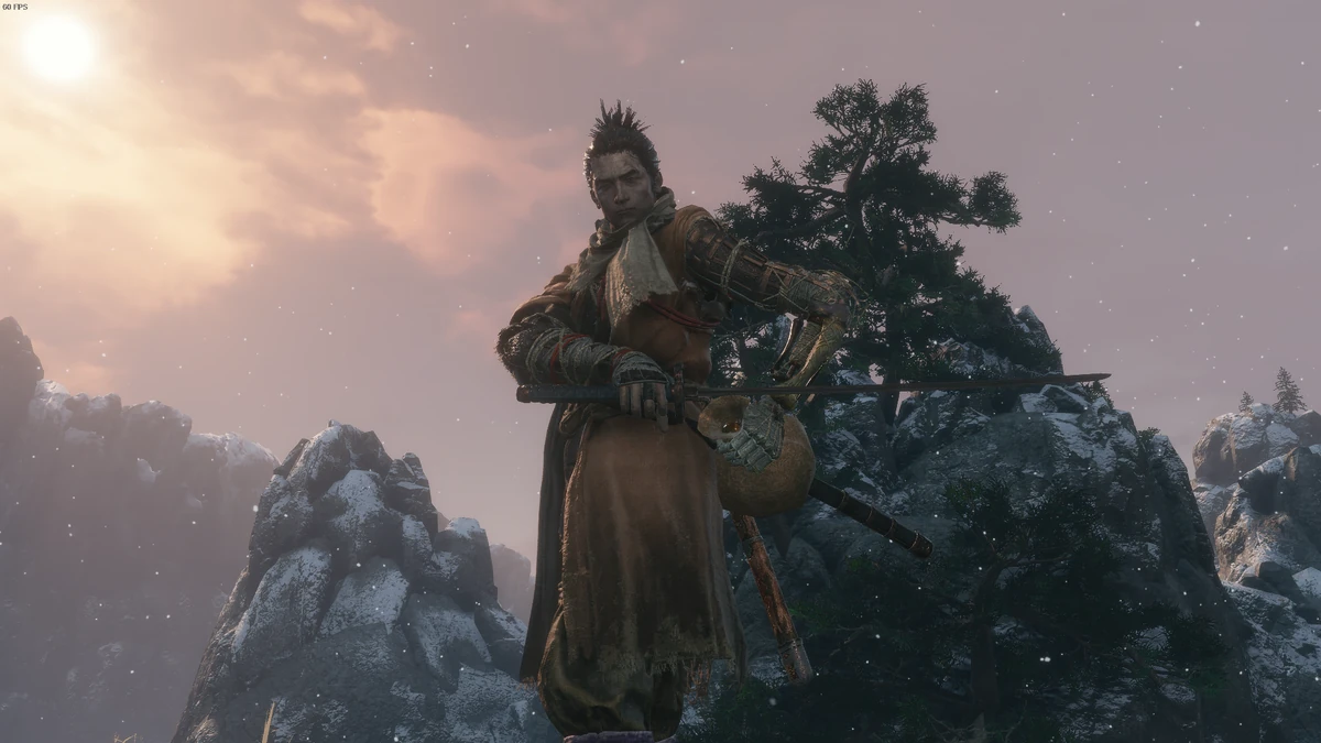 Bulging Coin Purse | Sekiro: Shadows Die Twice Wiki | Fandom