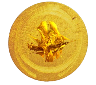 Noctis Coin | Shadow Slave Wiki | Fandom