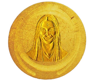 Noctis Coin | Shadow Slave Wiki | Fandom