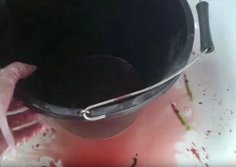 LOL Talking Fetus | ShadowsWeb.info Wiki | Fandom