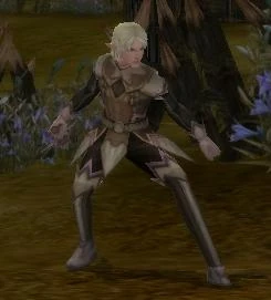 Ranger Nuvert | Wiki Shaiya | Fandom