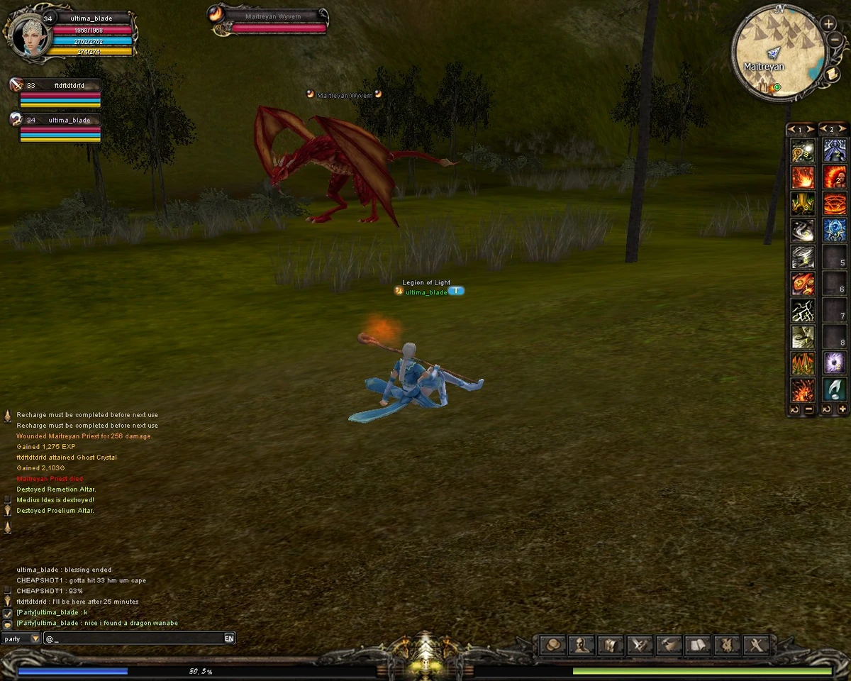 Maitreyan Wyvern | Shaiya Wiki | Fandom