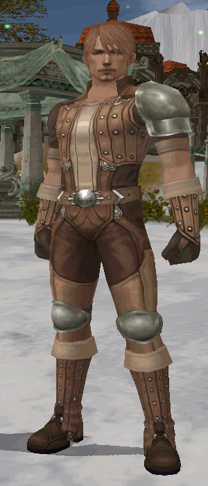 Bronze Gear | Shaiya Wiki | Fandom