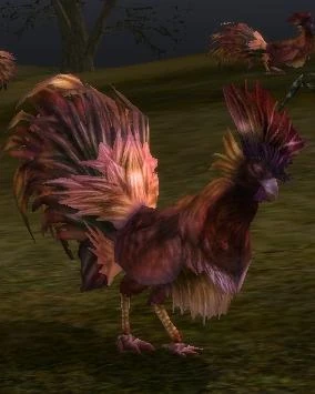 Coq Anthropophage | Wiki Shaiya | Fandom