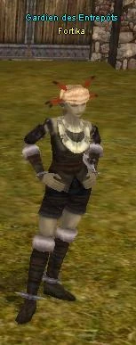 Fortika | Wiki Shaiya | Fandom