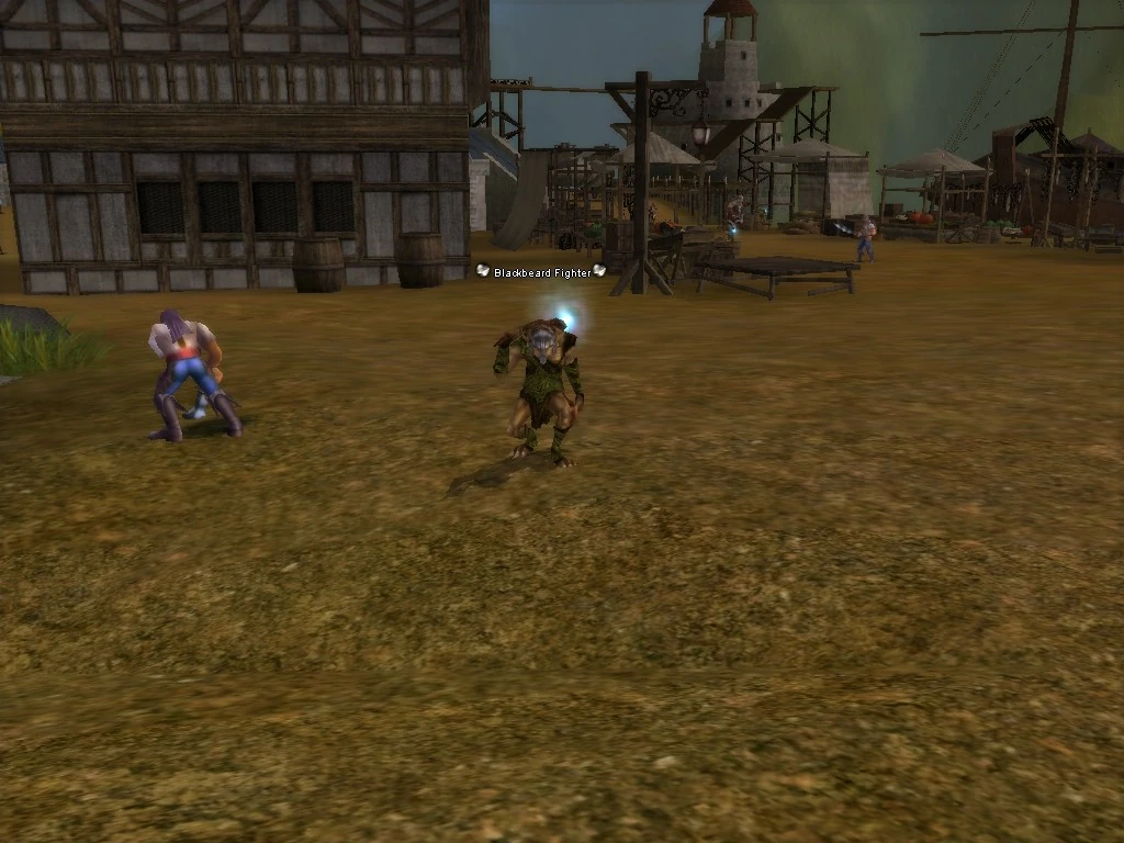 Blackbeard Fighter | Shaiya Wiki | Fandom