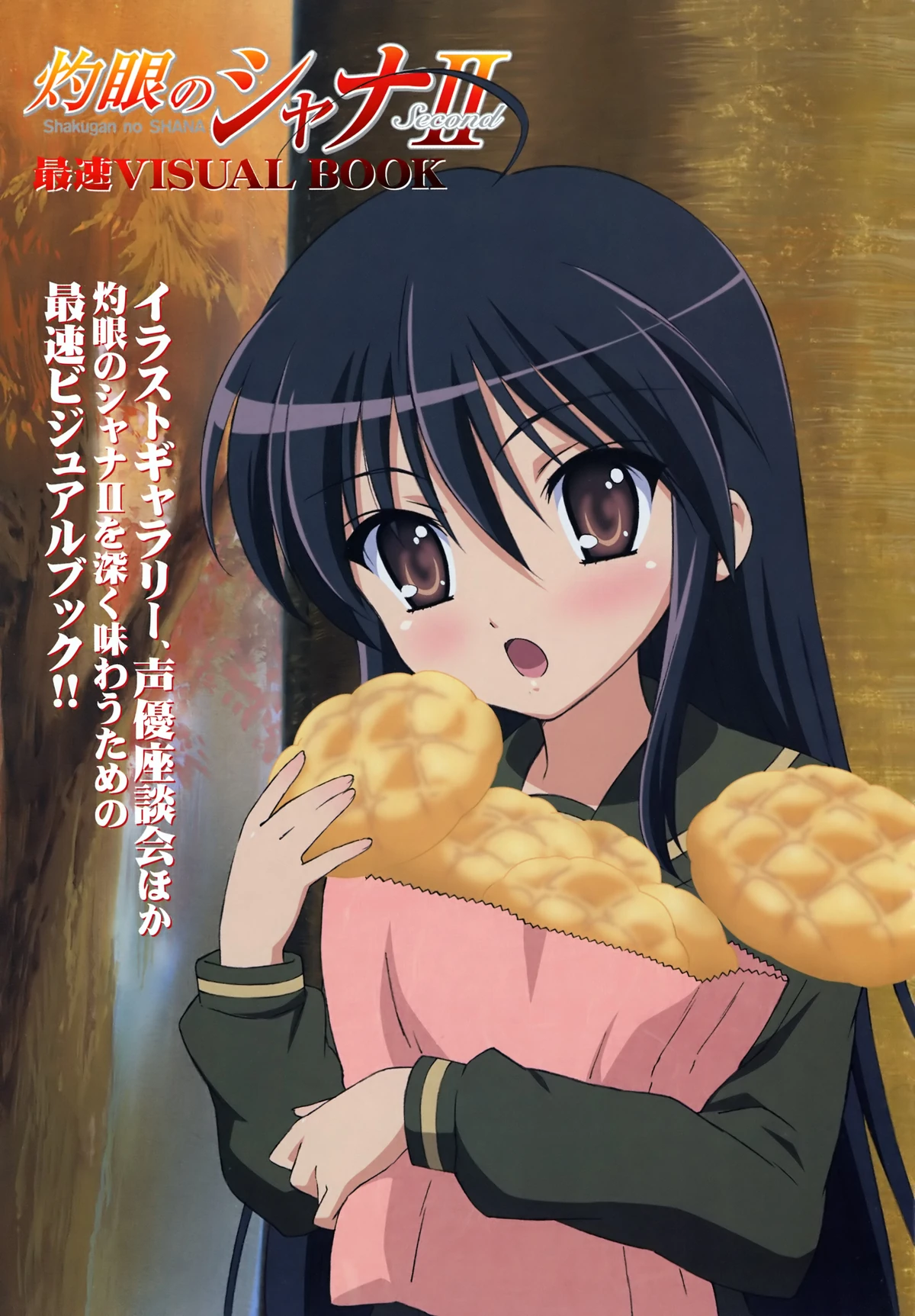 Shakugan no Shana Second Saisoku Visual Book | Shakugan no Shana Wiki | Fandom