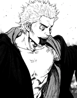 Shamo Manga