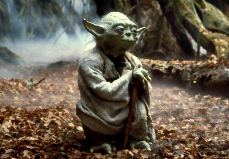 Yoda's species | Shaniverse Wiki | Fandom