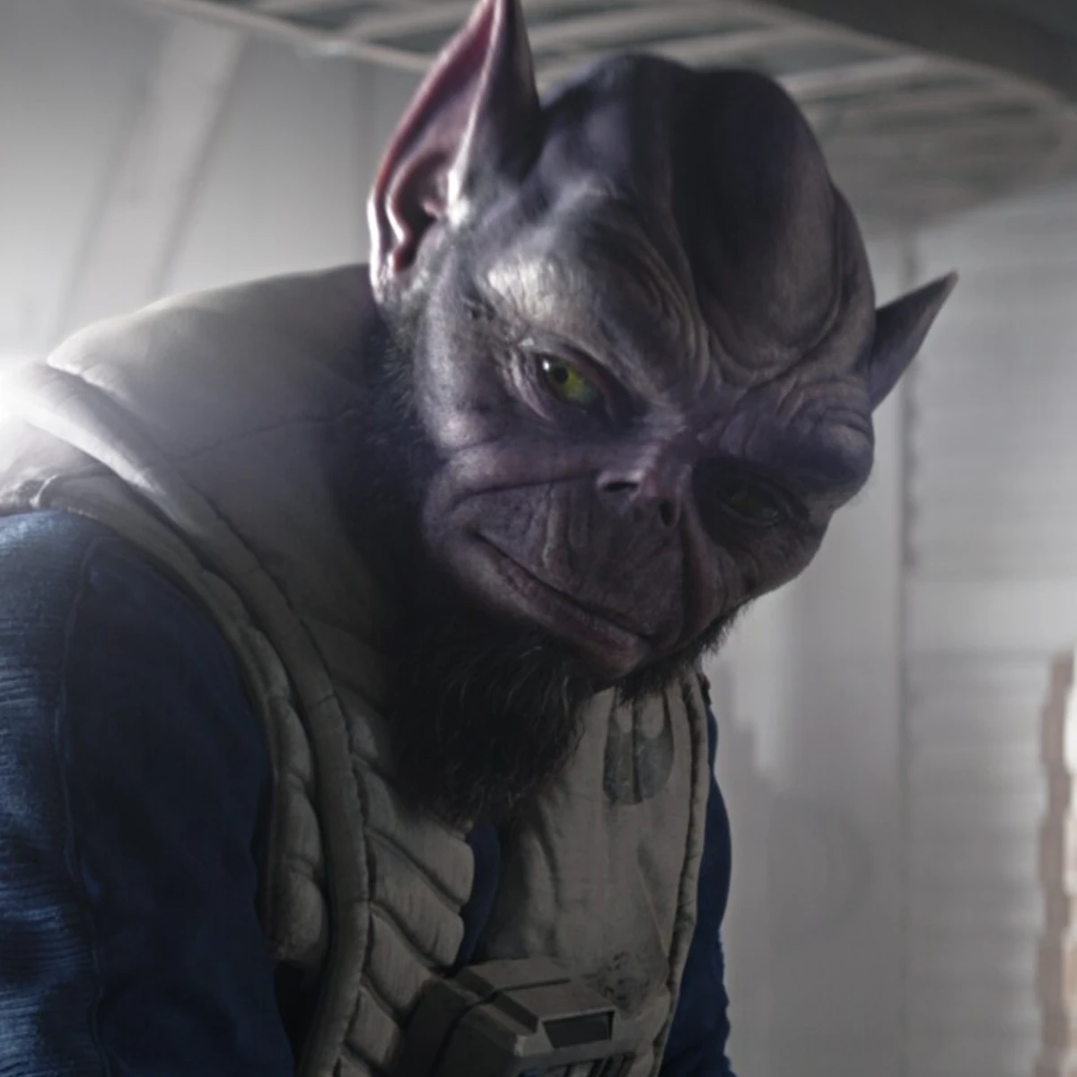 Garazeb Orrelios | Shaniverse Wiki | Fandom