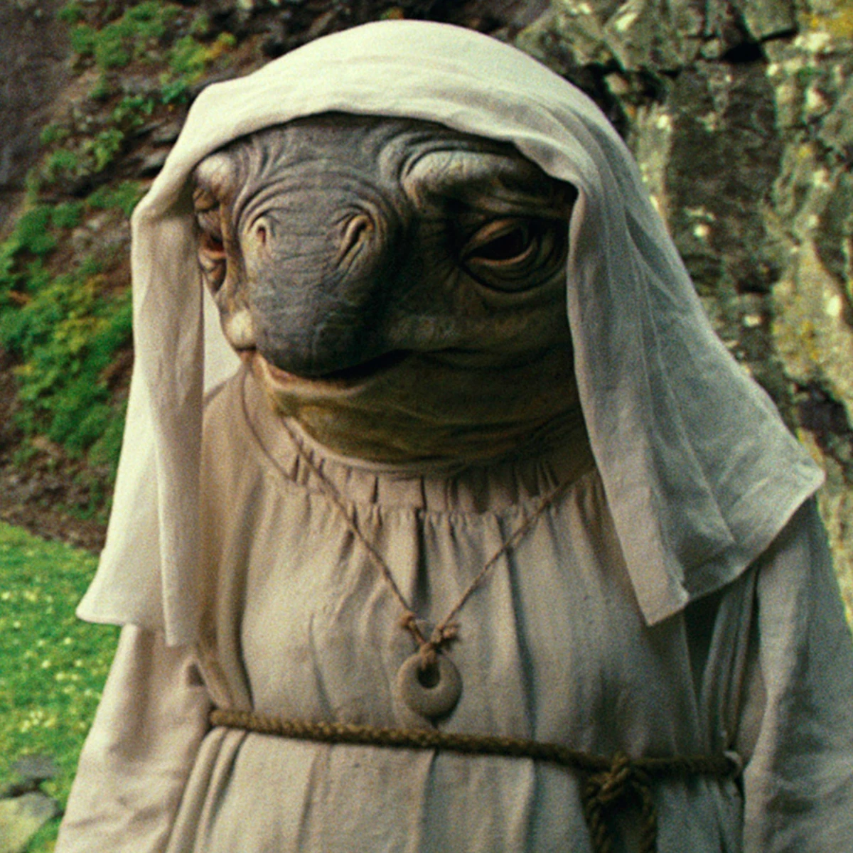 Alcida-Auka | Shaniverse Wiki | Fandom