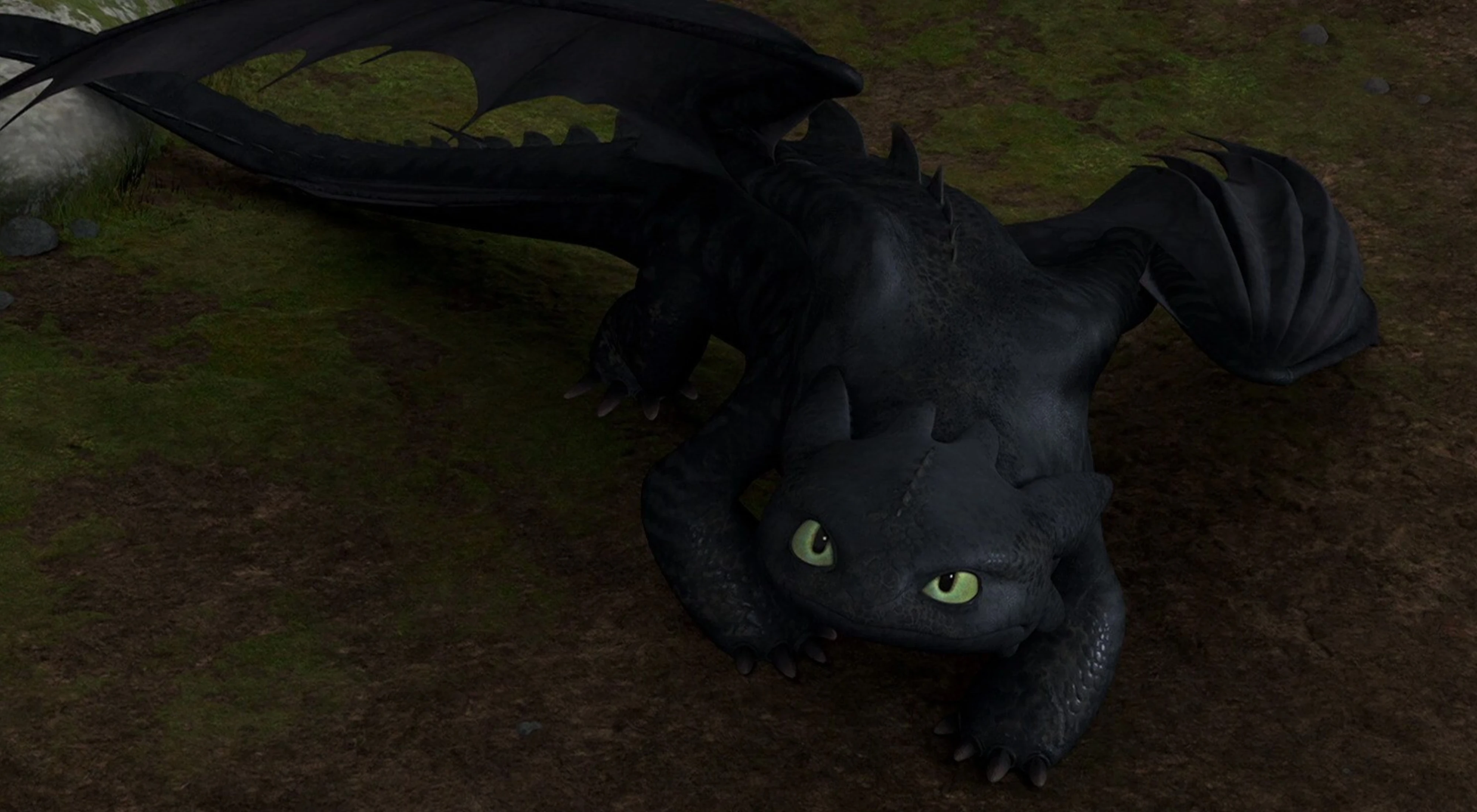 Night Fury Picture Of S S