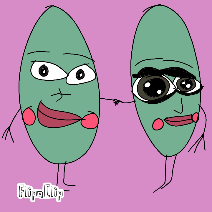 Ovals | Shape Wiki | Fandom