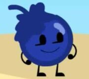 Shape Battle Wiki | Fandom